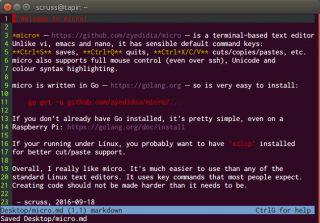 micro, a nice little text editor – We Saw a Chicken