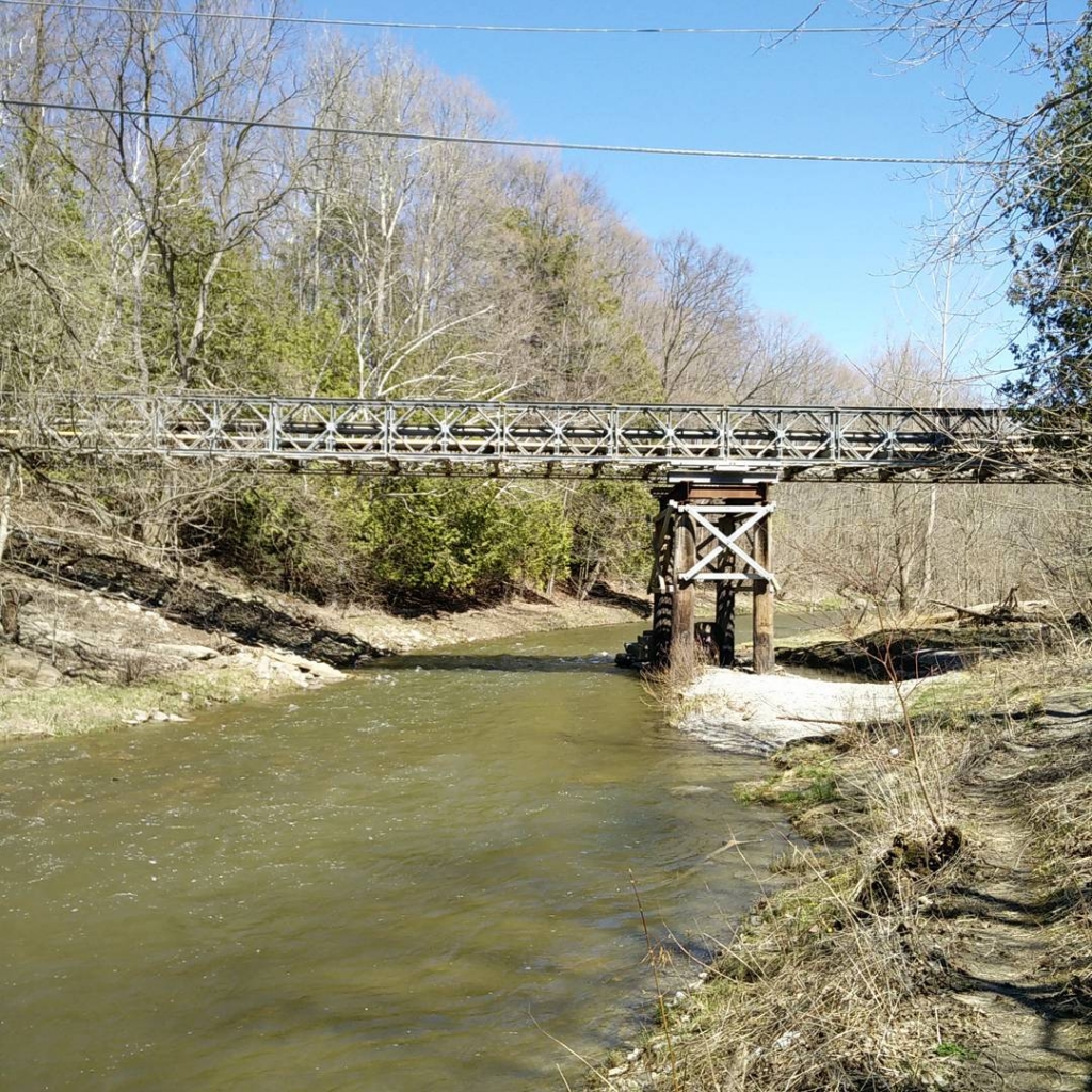 Little Bridge – We Saw a Chicken