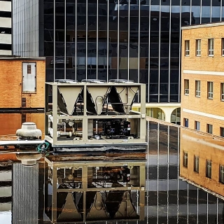 rooftop reflecting pool – We Saw a Chicken