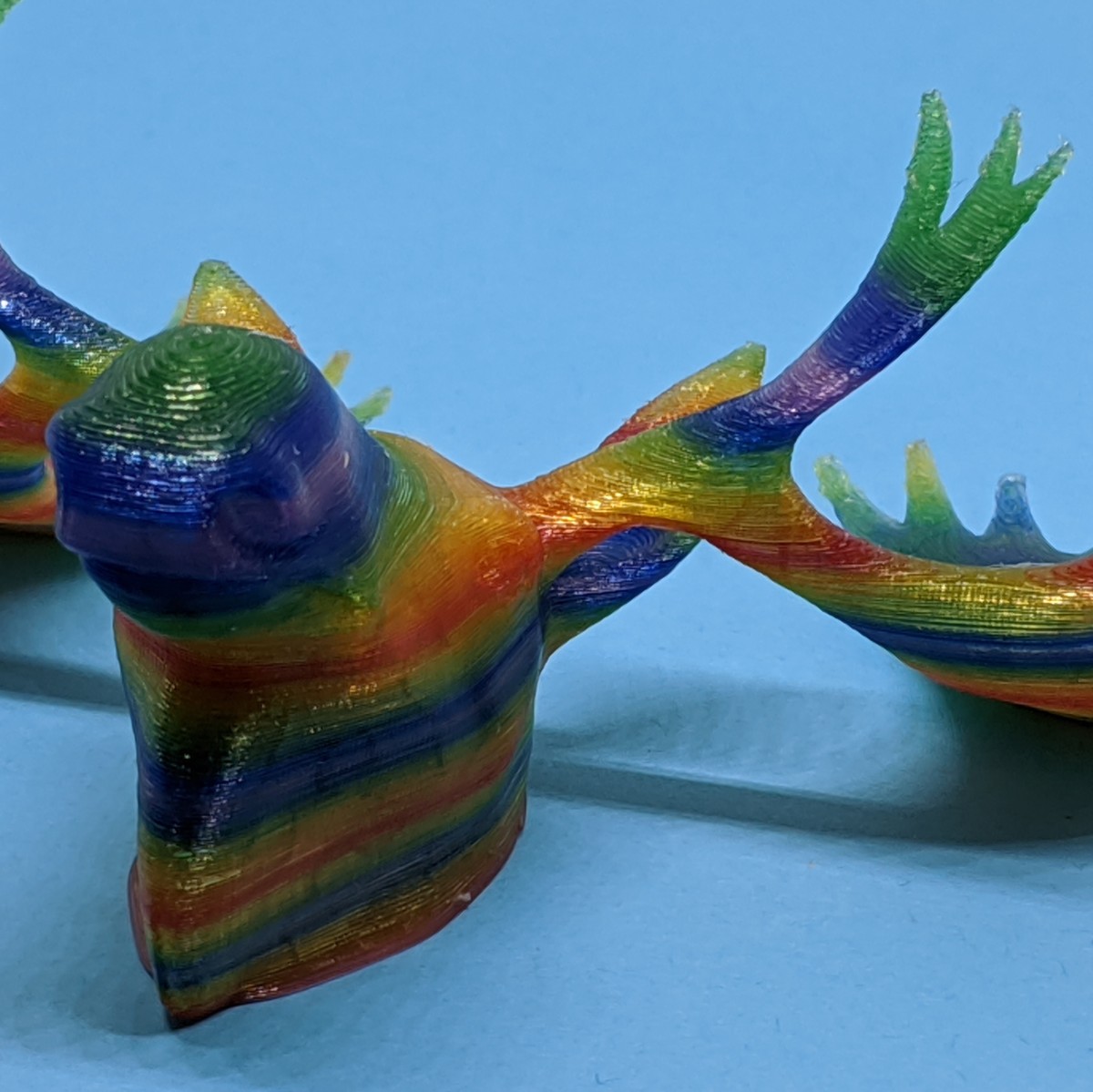 Rainbow Moose – We Saw a Chicken