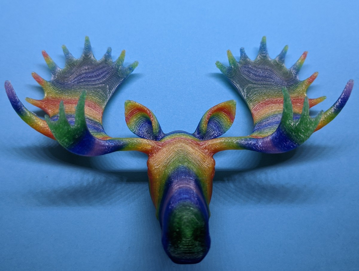 Rainbow Moose – We Saw a Chicken