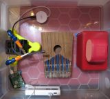 We Saw a Chicken … – work as if you live in the early days of a better ...